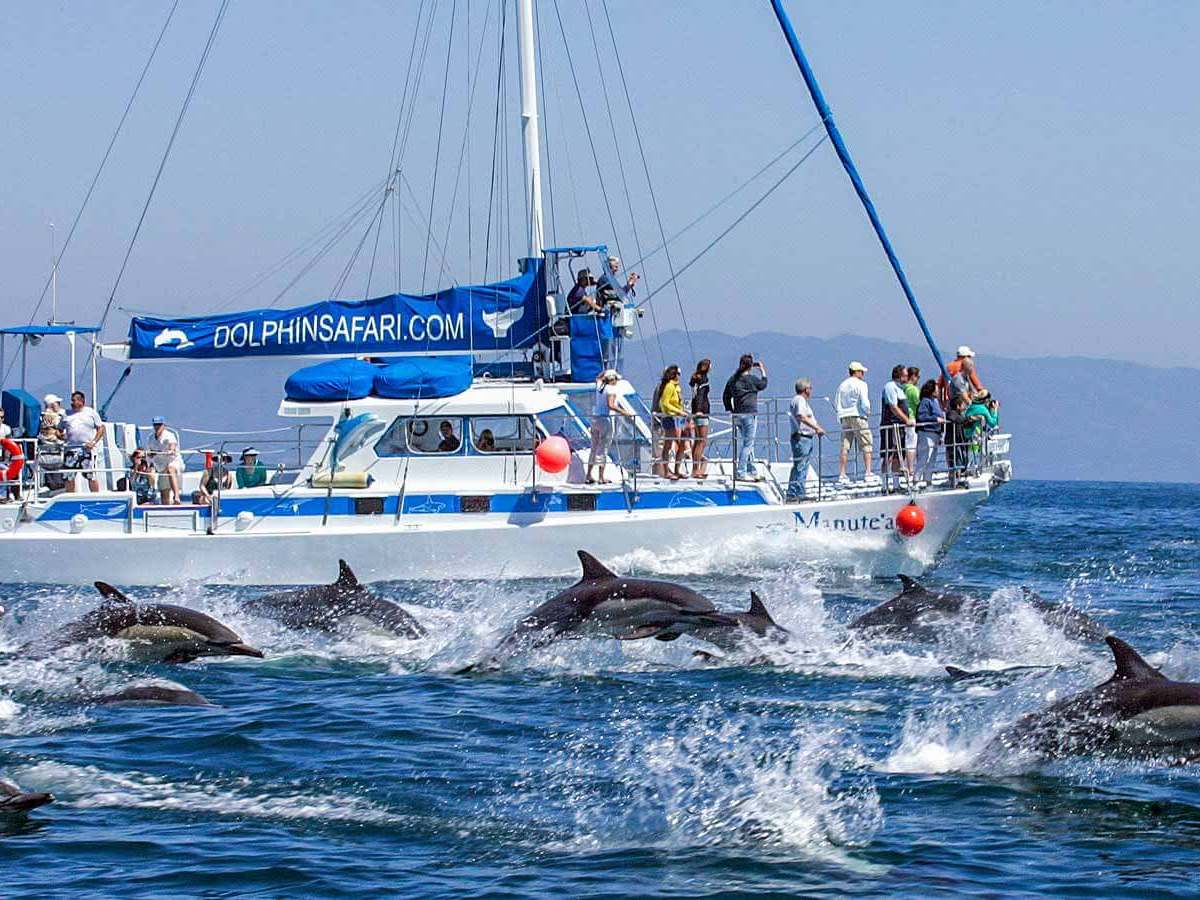 Dana Point Boat Rental | Captain Dave’s Whale Watching