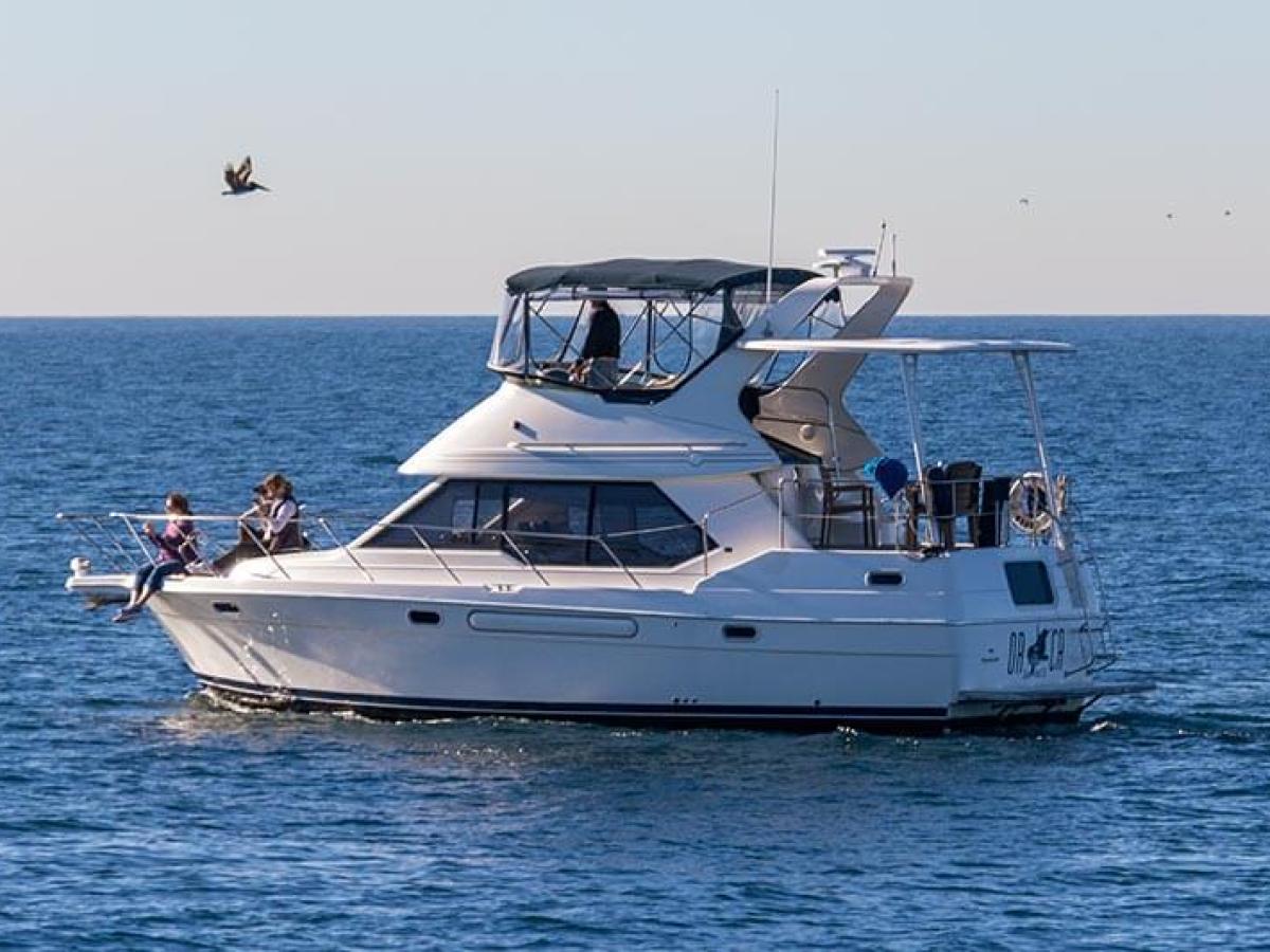 Charter Boats for Scattering Ashes | California | Capt. Dave’s
